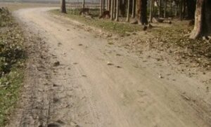 Various Factors of Road & Classification of Roads. Highway Engineering